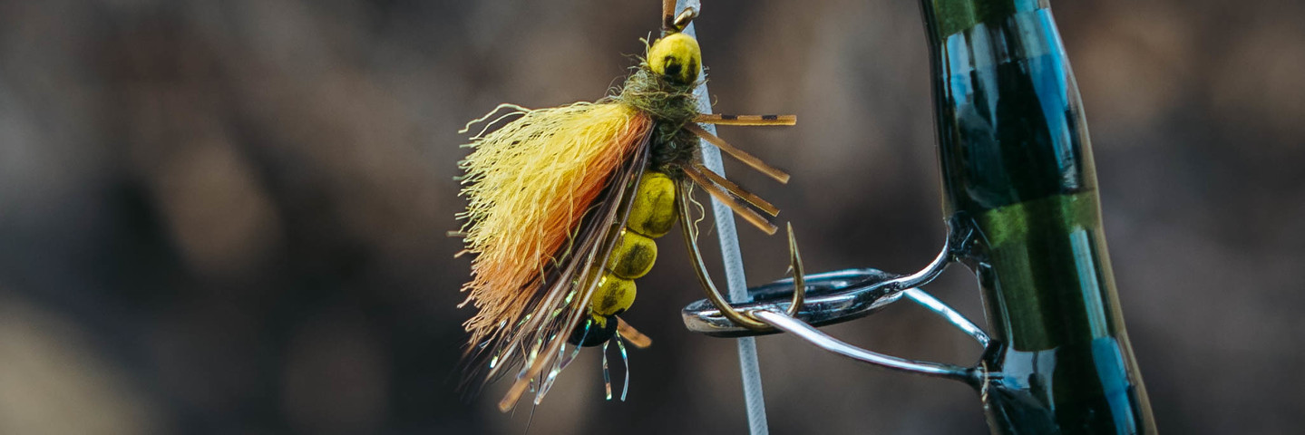 Flies - Hatch - Skwala - Umpqua Feather Merchants