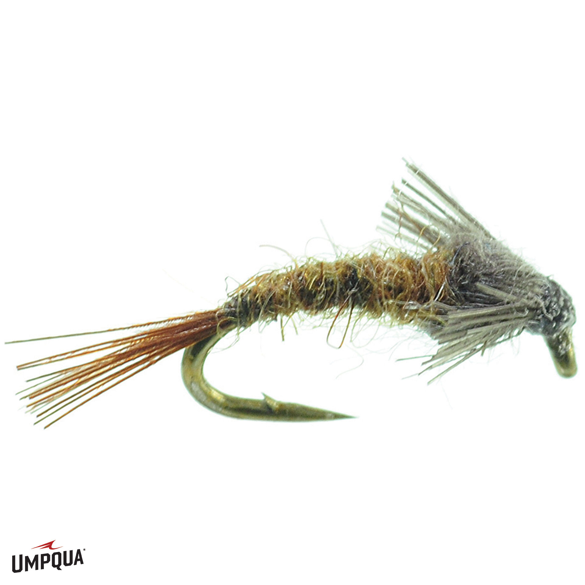 Graphic Caddis - Caddis Nymph - Umpqua Feather Merchants