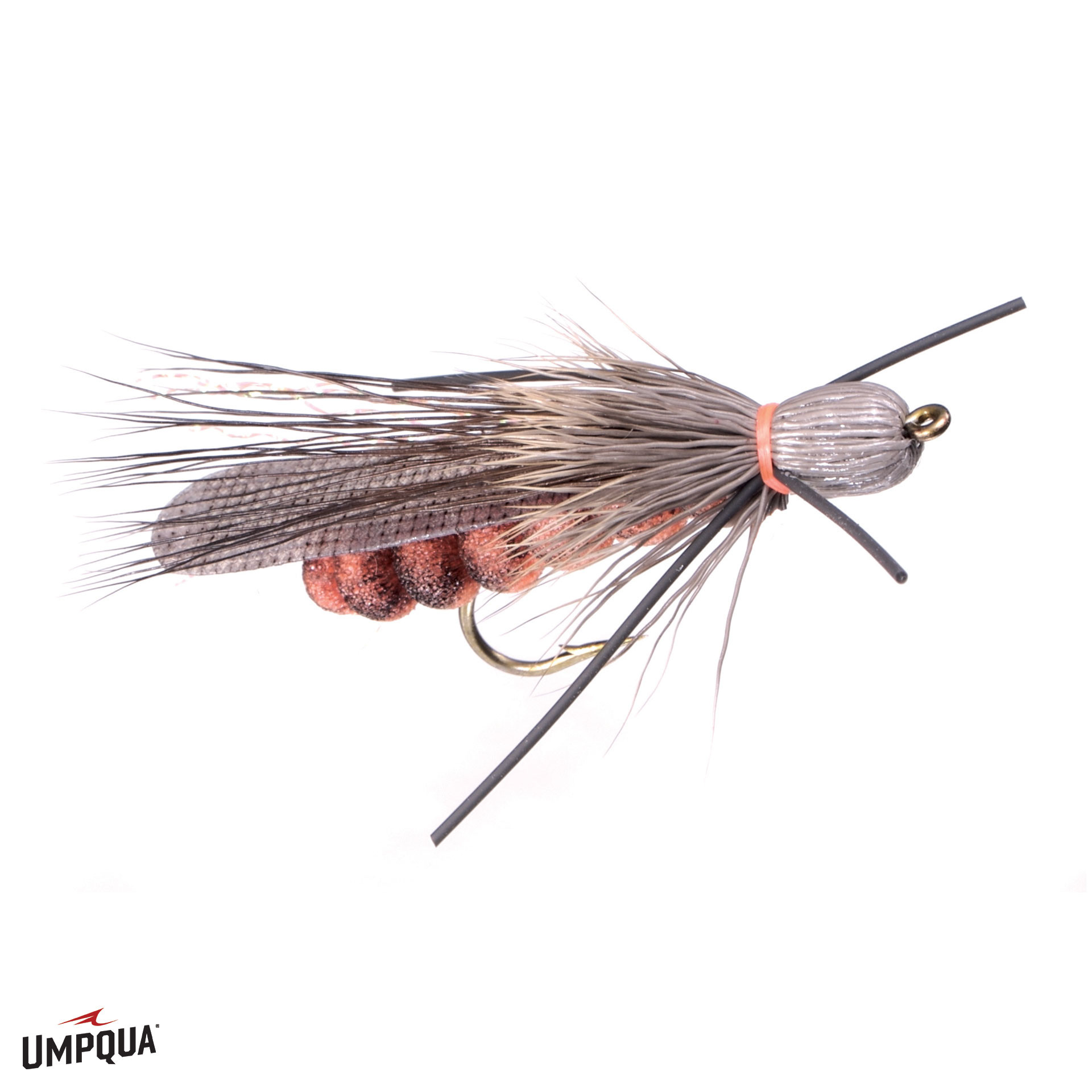 FOAM BEETLE - Umpqua Feather Merchants