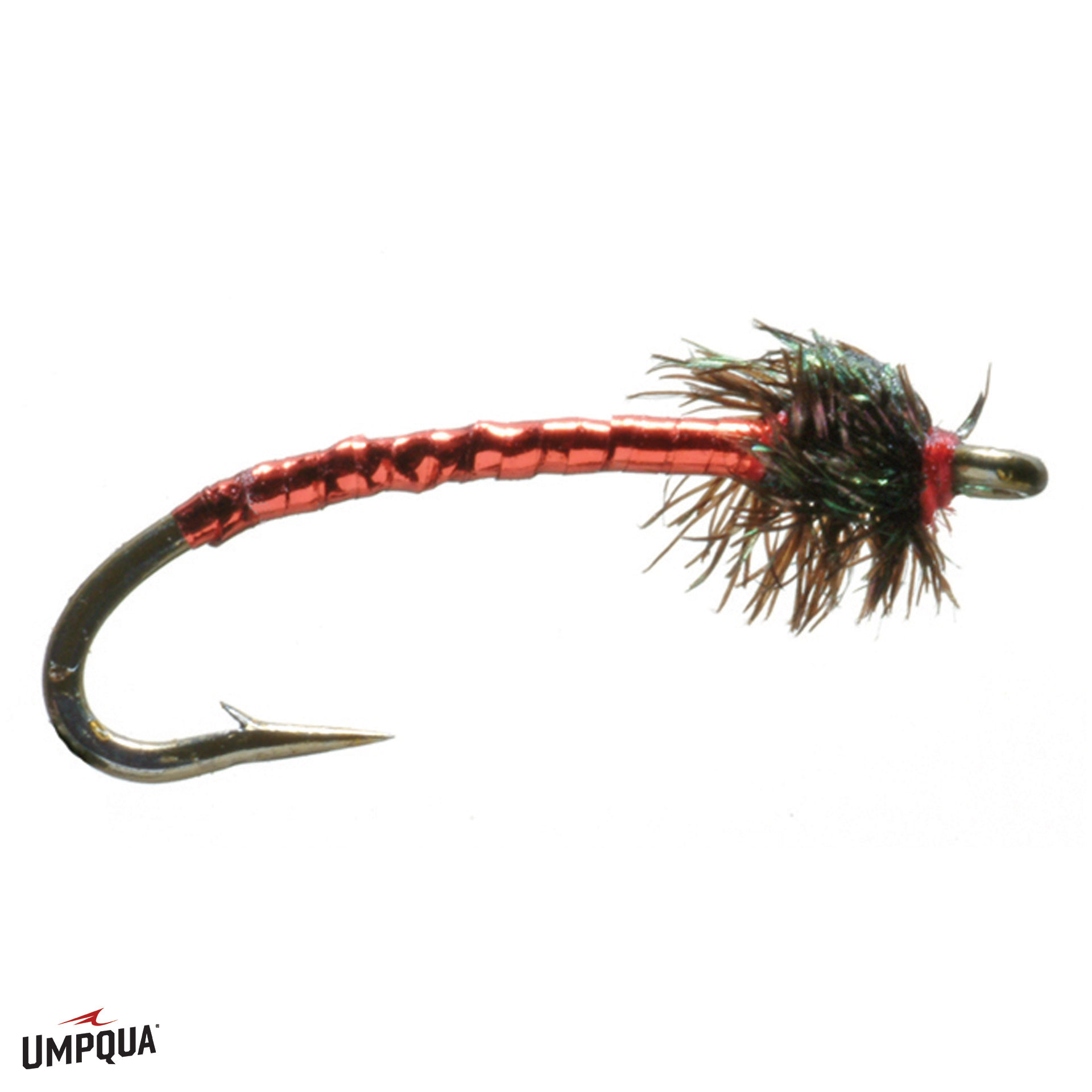 DISCO SHRIMP - Umpqua Feather Merchants