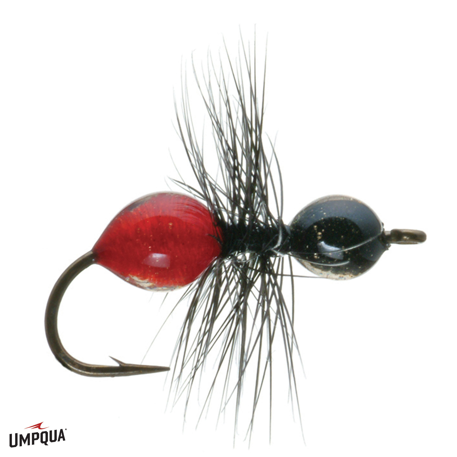 Tim's Beetle - Beetle Pattern - Umpqua Feather Merchants