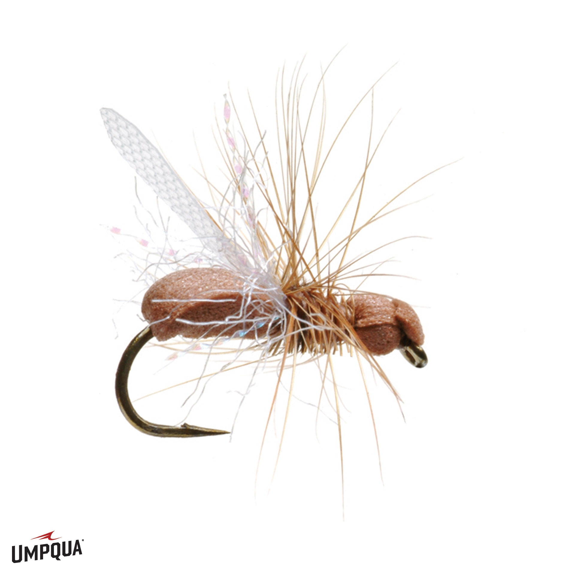 FOAM BEETLE - Umpqua Feather Merchants