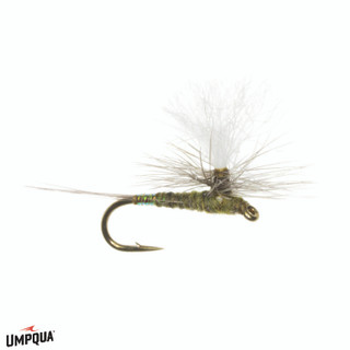Mini Hot - Dry Fly - Umpqua Feather Merchants