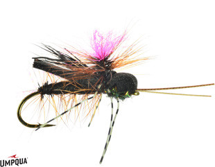 PARTY ANIMAL - Umpqua Feather Merchants