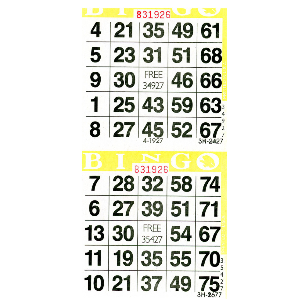 American Games Bingo Paper Game Cards - 2 cards - Blue - 750 sheets per ...