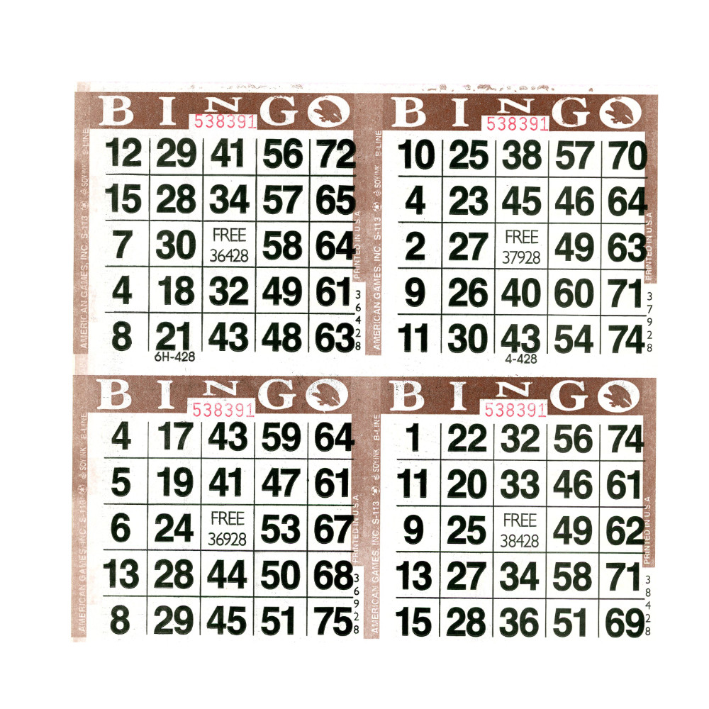 American Games Bingo Paper Game Cards - 4 cards - Blue - 750 sheets per ...