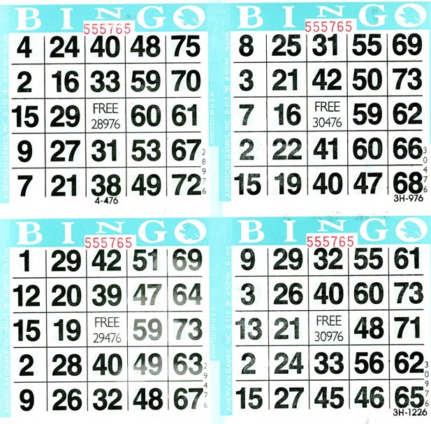 American Games Bingo Paper Game Cards - 4 cards - Blue - 750 sheets per ...