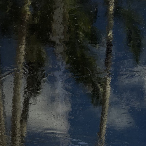 Gray Transparent (AGC-816) | Stained Glass For Less