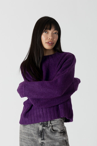 Lyla & Luxe Purple Timmy Crewneck Sweater - The Funk Trunk Clothing ...