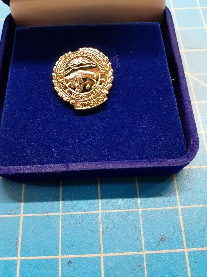 Department of the Interior Length of Service Pin - 15 Year - Western ...