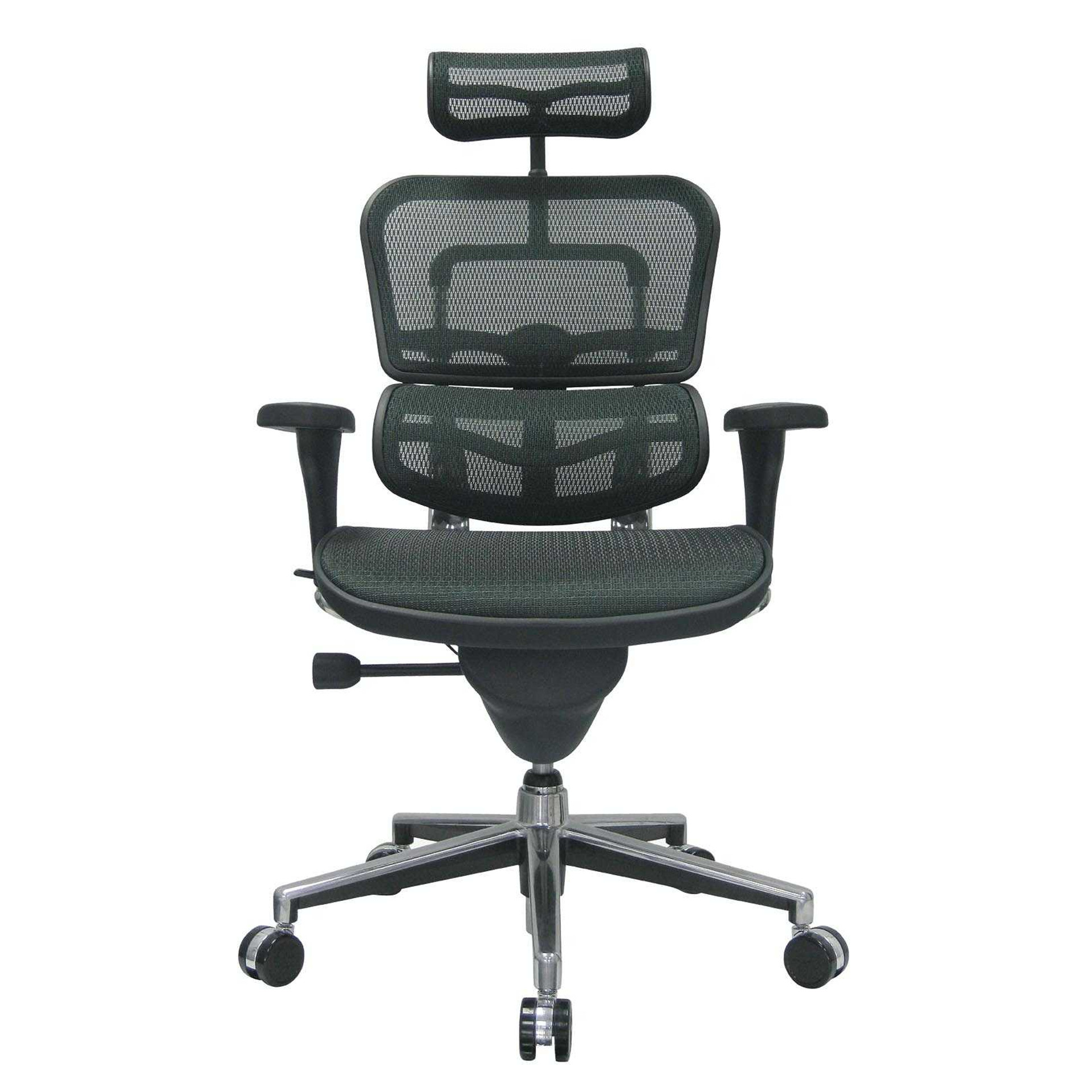 The Ergo Human High-Back All Mesh Executive Chair