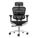Eurotech Ergohuman Gen2 High-Back Mesh Exec. Office Chair