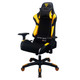 The Raynor Gaming Energy Pro Series Gaming Chair - Game in Style