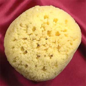 Caribbean Grass Form - The Sponge Factory