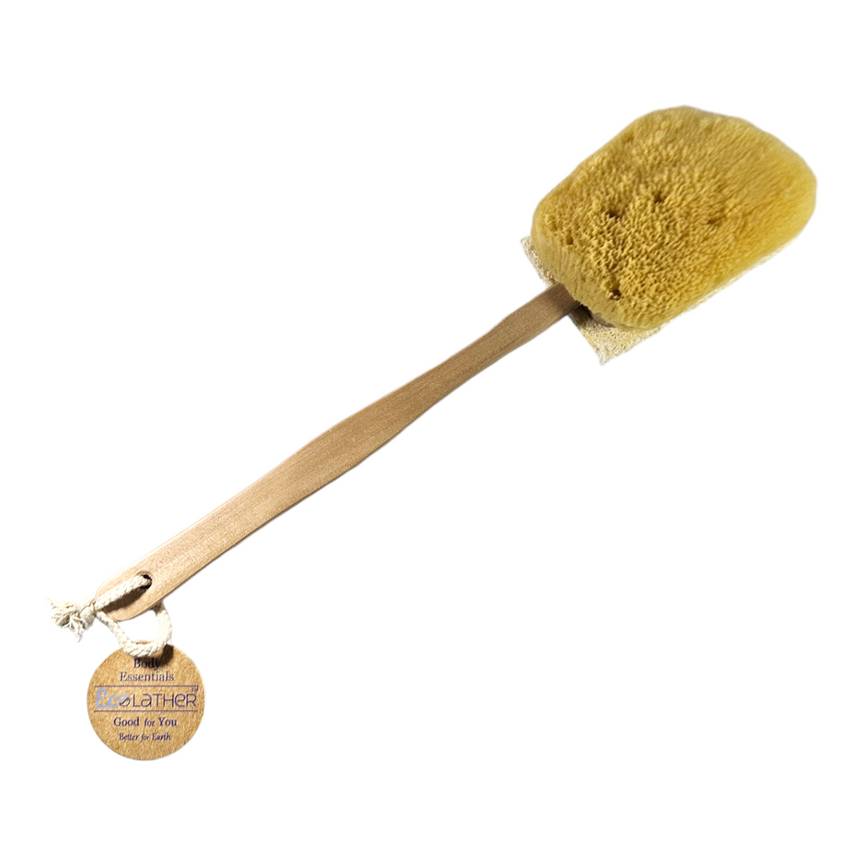 Natural Sea Sponges - Bathing - The Sponge Factory