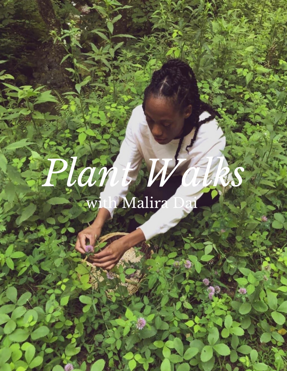 Plant Walk - MALIRA DAI HOLISTIC
