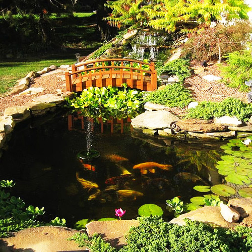 Savio Signature 4000 15' x 25' EPDM Pond Kit- MDS4 - Half Off Ponds