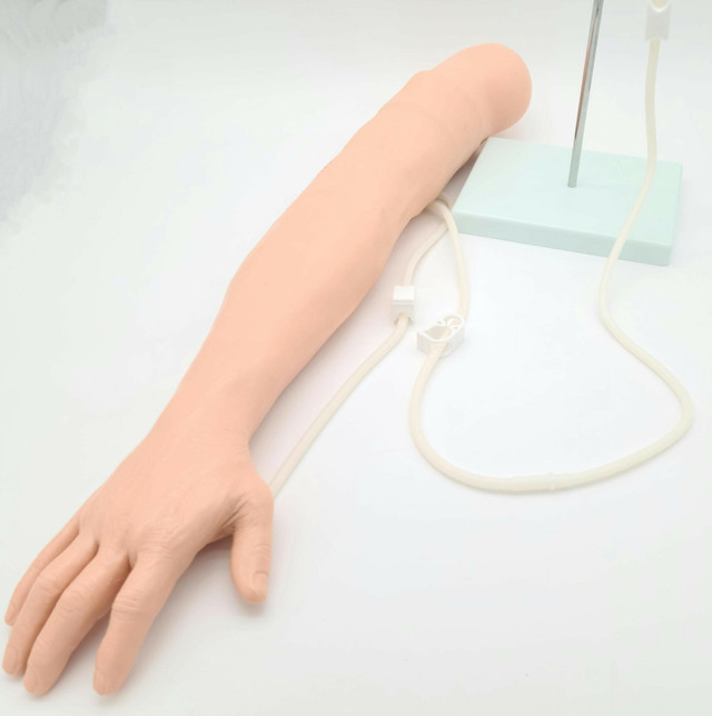 Surgical Technology - Simulators & Manikins - Mock Medical