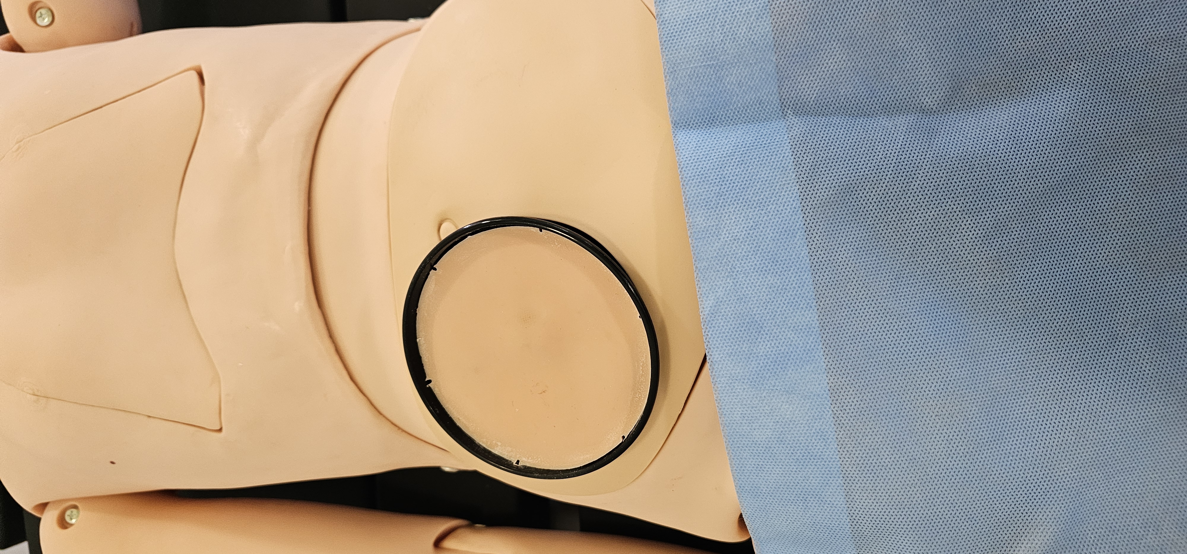 SIM Student Procedure Cups & Manikin Plate - Mock Medical