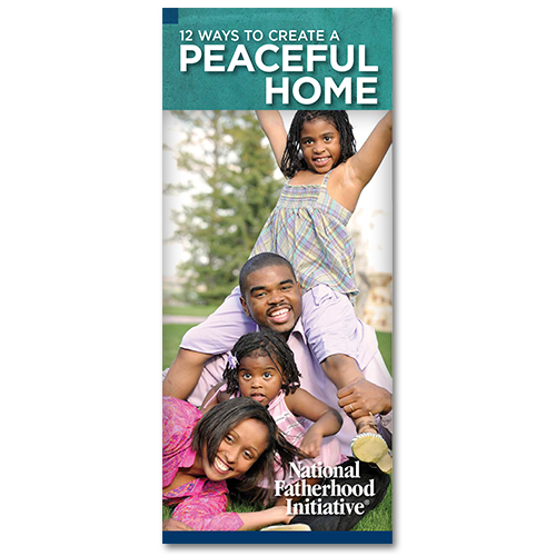 Home Visitation Bundle - FatherSource™ by National Fatherhood Initiative®