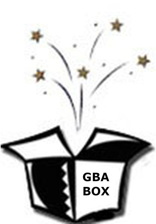 Empty Box Arctic Tale GameBoy Advance Game | DKOldies