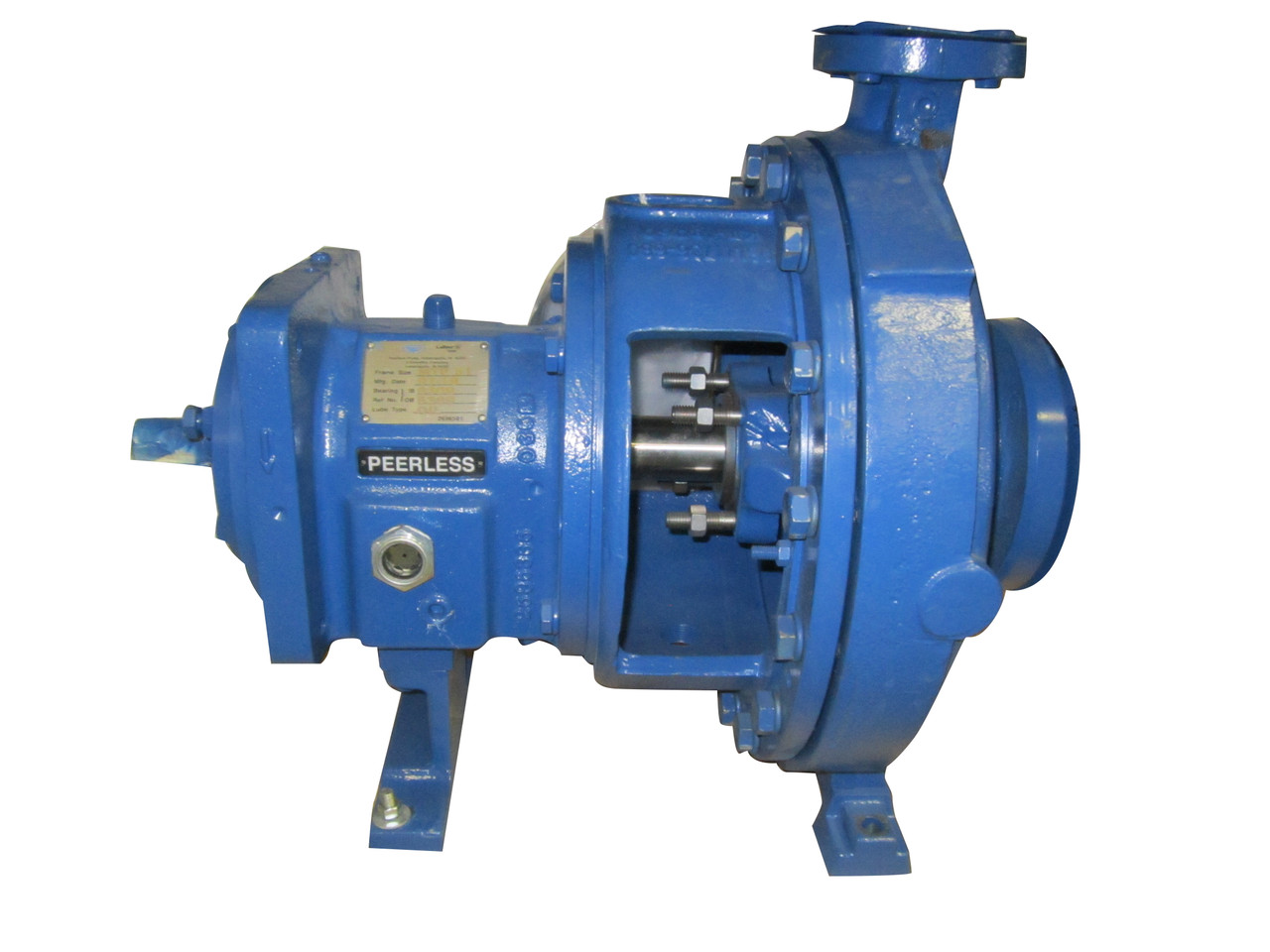 Peerless Pump, 1.5X3-13 STP DI/316SS