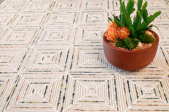 Colorfields Products - Company C