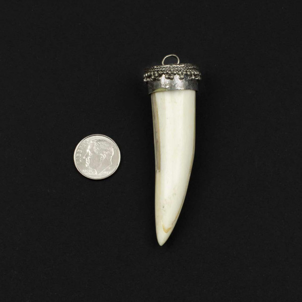 Bone approx. 22x72mm Horn Shaped Pendant with Silver Plated Brass Cap ...