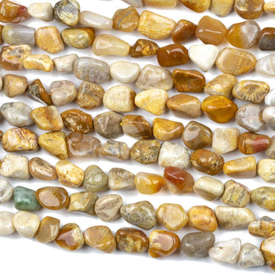 Fossilized Coral 8x10mm Pebble Beads - 15 inch strand