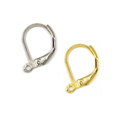 304 Stainless Steel 10x14mm Lever Back Ear Wires