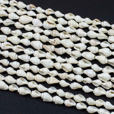 Dovetail Shell approx. 7x10mm White Beads - approx. 58 inch strand