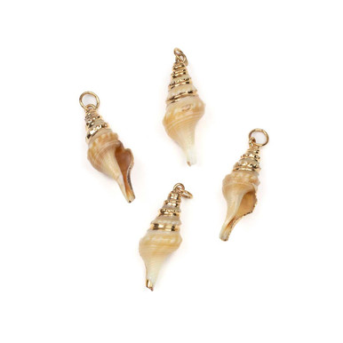Natural Turris Shell approx. 14x36mm Pendants with Electroformed Gold ...