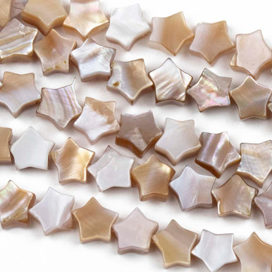 Mississippi River Purple Shell 6mm Star Beads - 8 inch strand