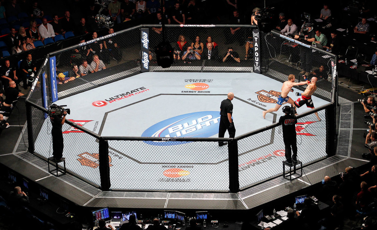 MMA Cages | PRO MMA Cages | PRO MMA