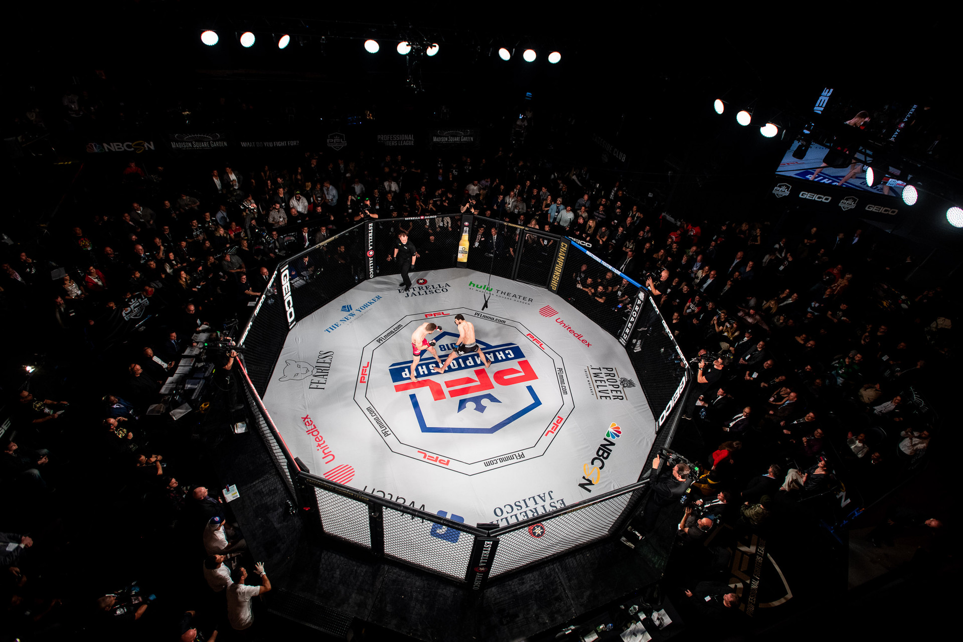 MMA Cages | PRO MMA Cages | PRO MMA