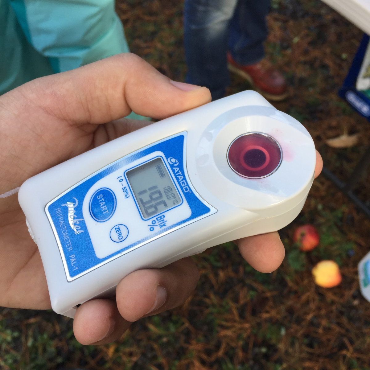 PAL-1 Digital Refractometer | International Shipping Available