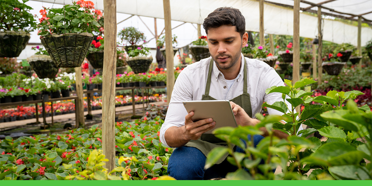 The Role of Carbon Dioxide in Greenhouse Management - QA Supplies