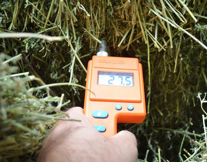 Everything to Know About Hay Moisture Testing - QA Supplies