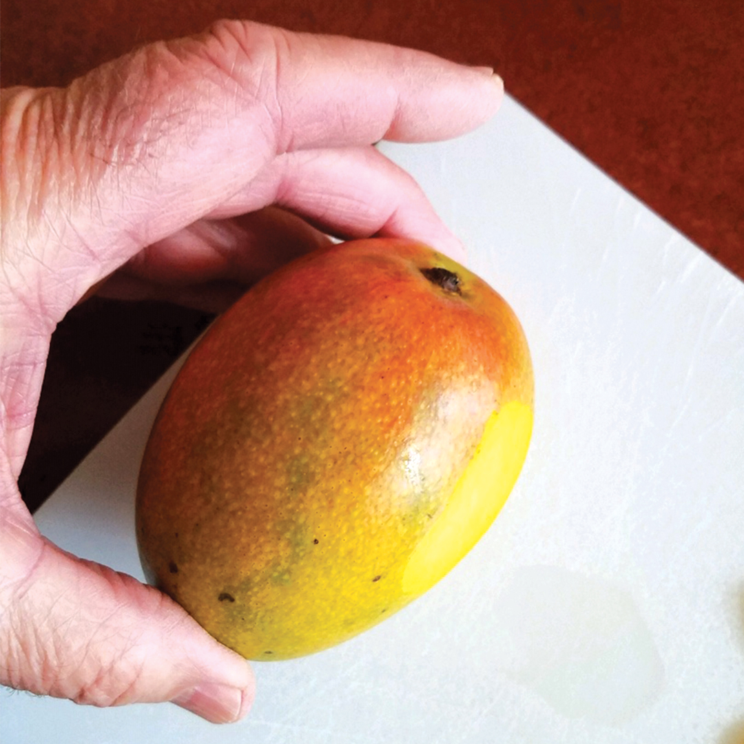 How To Properly Measure Mango Firmness - QA Supplies