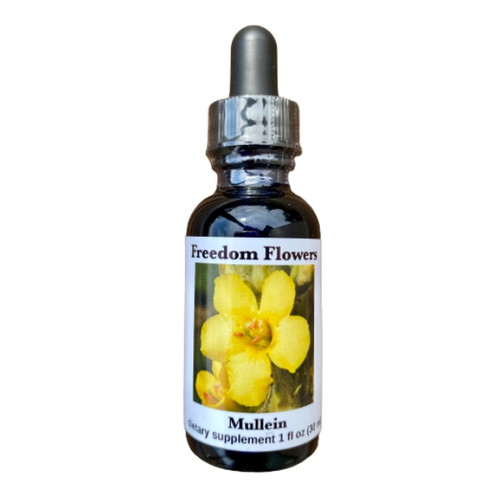 Mullein Flower Essence: Lost & Directionless