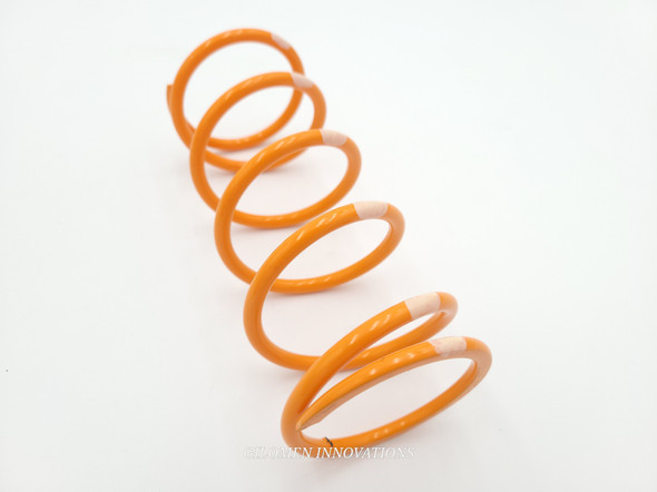 PRO R 4 CYLINDER 2.0 FURY - 2024 - 2 SEAT - Gilomen Innovations™