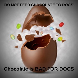 CHOCOLATE IS BAD........FOR DOGS! - Huds and Toke