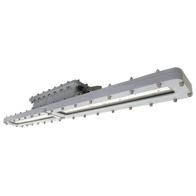 Beghelli Lighting CASTEX 600 (HZ-CAS600) High Low Bay