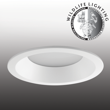 Rayon Lighting RPA6-RFD PRIME 6" Round Flanged Downlight Fire Rated Downlight