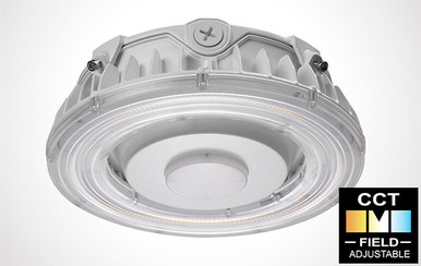 Aleo Lighting RPC-55/CT Round LED Parking Garage Canopy