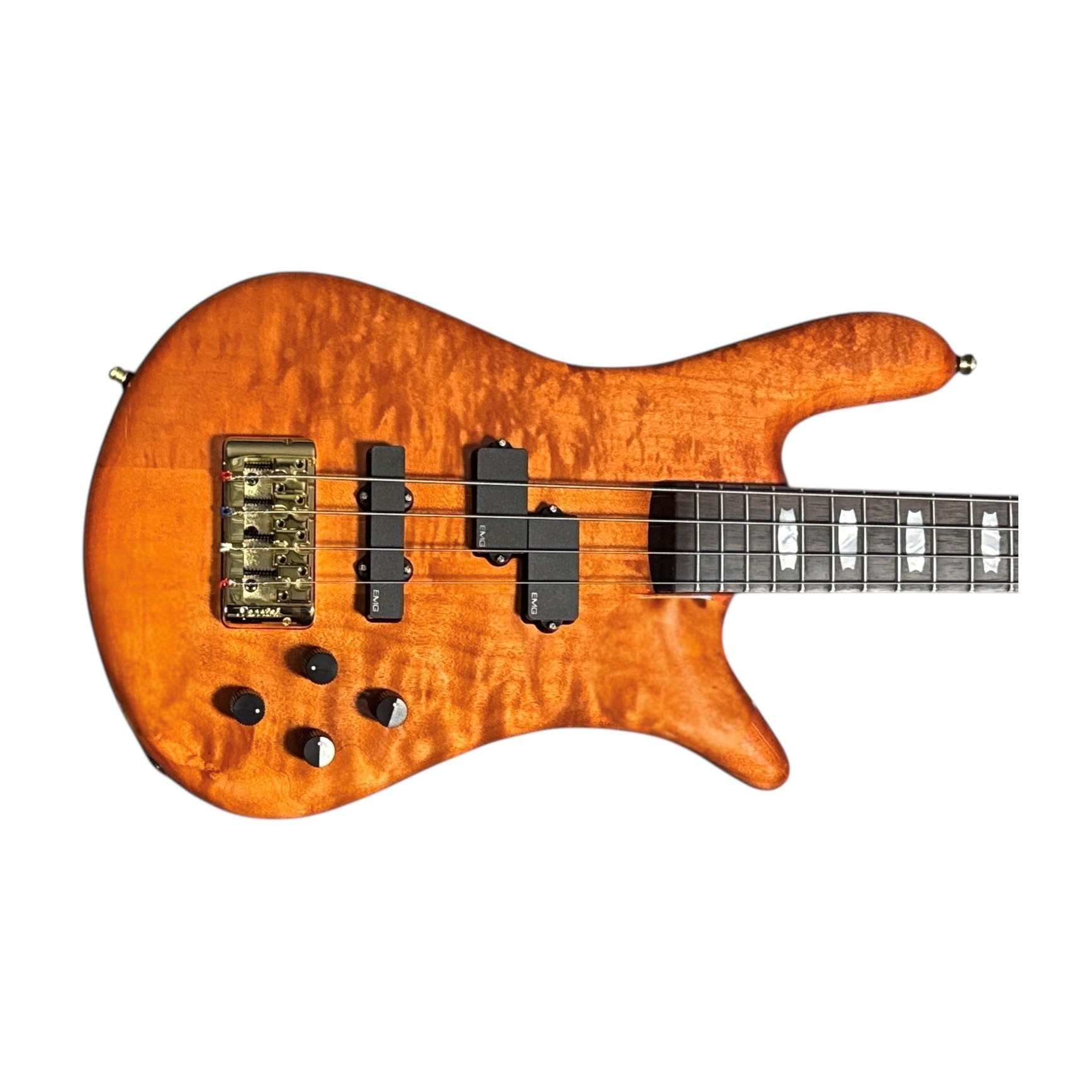Basses - Spector - Bass Central
