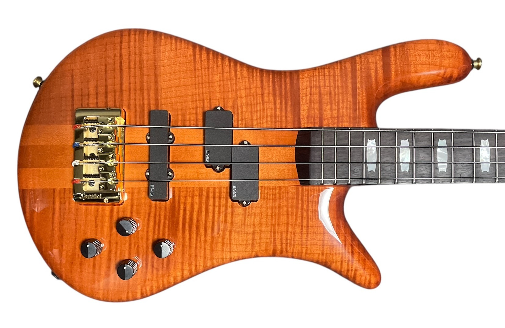 Basses - Spector - Bass Central