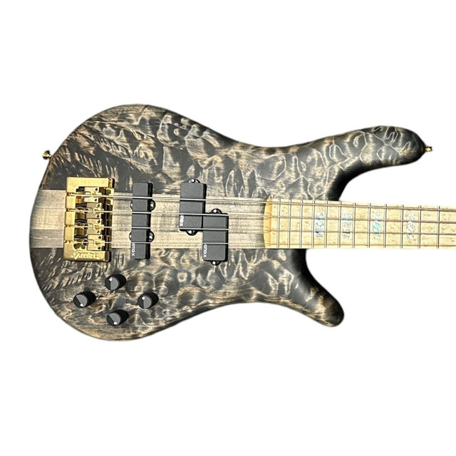 Basses - Spector - USA - Bass Central