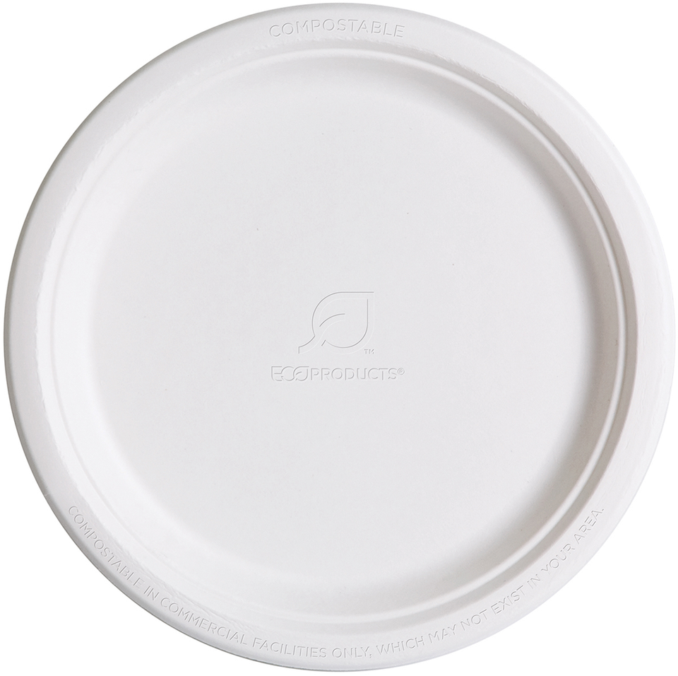 10in Plate