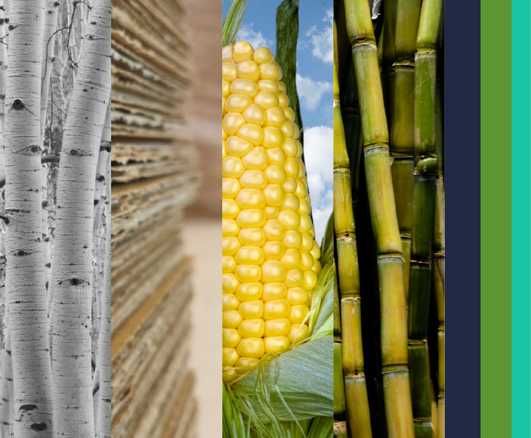 The Benefits of Using Renewable Resources for Single-Use Foodservice ...